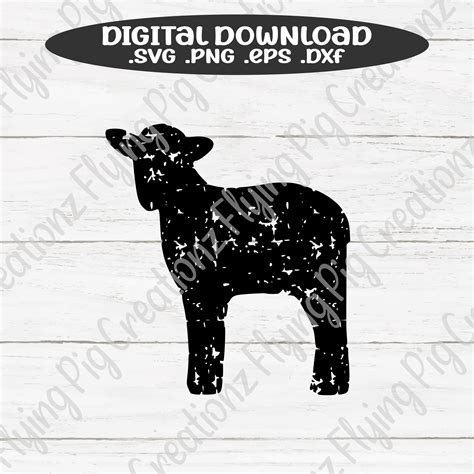 Club Lamb Clip Art
