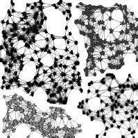A A Scalar Field With Regions With Different Values Of A Property V Download Scientific
