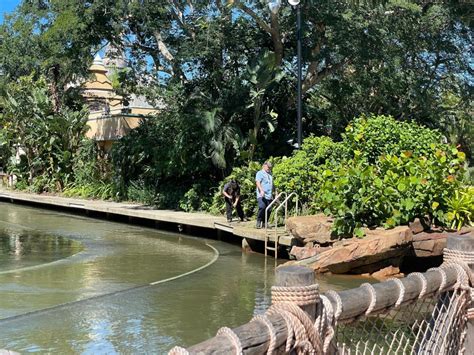 Jurassic Park River Adventure Reopens After Hurricane Ian Ripped Hole In Building WDW News Today