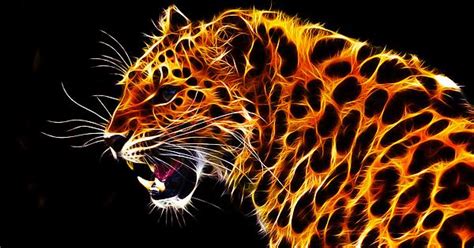 This Is Fractalius Imgur