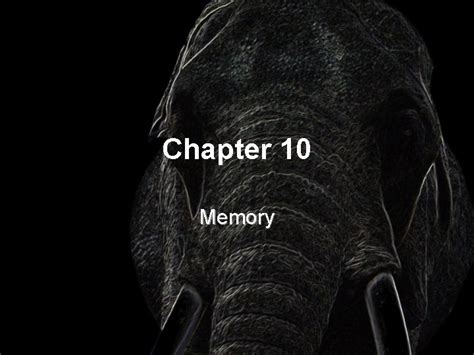 Chapter 10 Memory Memory Memory Persistence Of Learning
