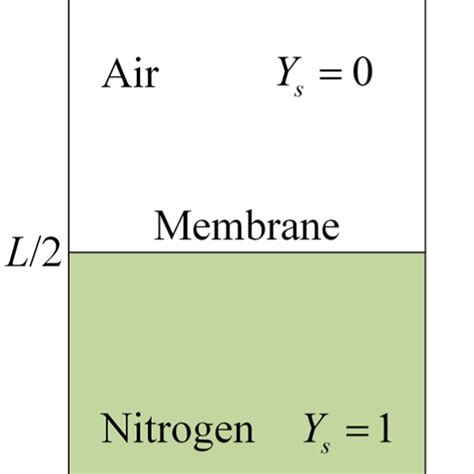 A Schematic Of Diffusion Problem Download Scientific Diagram