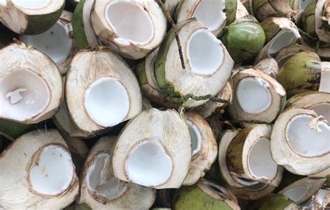 Nghề đẽo Cùi Dừa Làm Mứt Ngày Cận Tết
