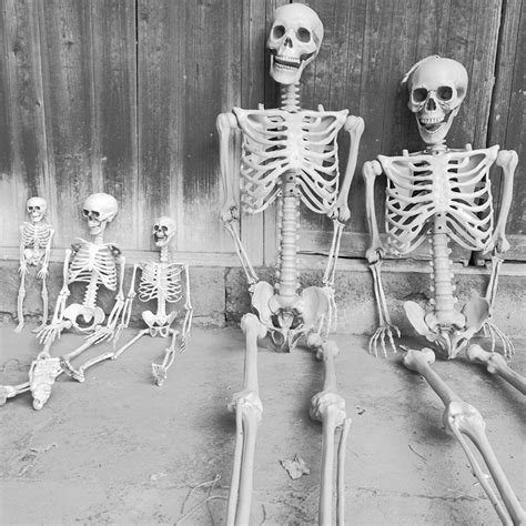 C0464678 1222 4f5d 916b Aab41b78cef2v1680974676