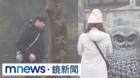 超強寒流雪線下降 追雪族衝太平山、訂房大爆滿｜鏡新聞 Youtube