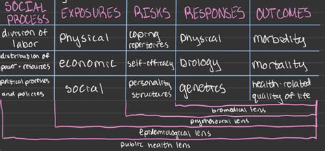 Exam Flashcards Quizlet