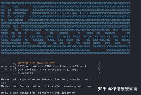 【渗透测试】metasploit之script Web Delivery模块的使用 知乎