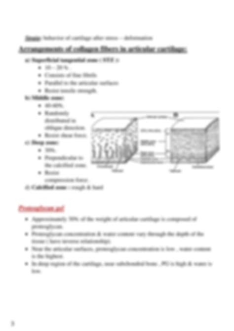 SOLUTION Biomechanics Of Articular Cartilage 2 Studypool
