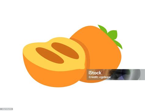Persimmon Fruit Illustration For Coloring Book Template Persimmon For