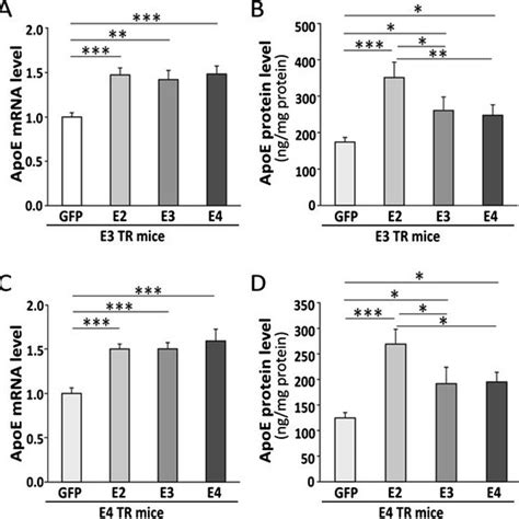 Increased Apoe Expression In Apoe Tr Mice Following Aav Viral Mediated
