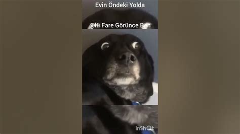 Dedde Sex Propamza Loxer Youtube