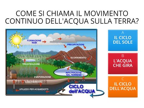 Il Ciclo Dell Acqua Quiz