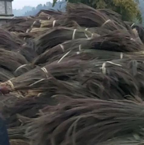 Meghalaya Grass Broom At ₹ 142kg Phool Wali Jhadu In Guwahati Id