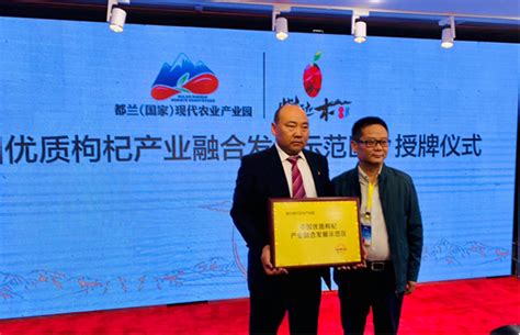 蓝狮项目都兰国家现代农业产业园品牌推介会暨柴达木枸杞产业发展高峰论在海西州成功举办 蓝狮农业品牌策划集团提供农产品品牌策划 农产品品牌营销