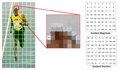 Facial Detection And Recognition With Dlib Widthai
