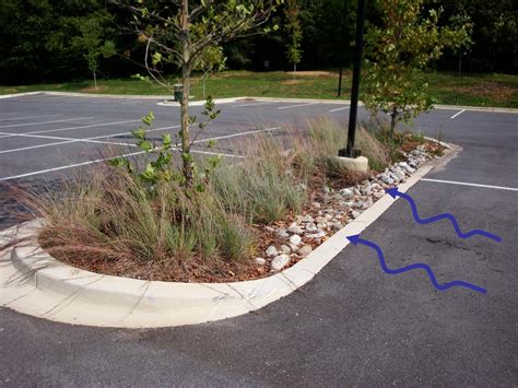 Walk Laurel Doing Parking Islands The Right Way