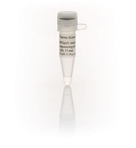 Thermo Scientific M13 Puc Reverse Sequencing Primer 26 17 Mer 10 Um