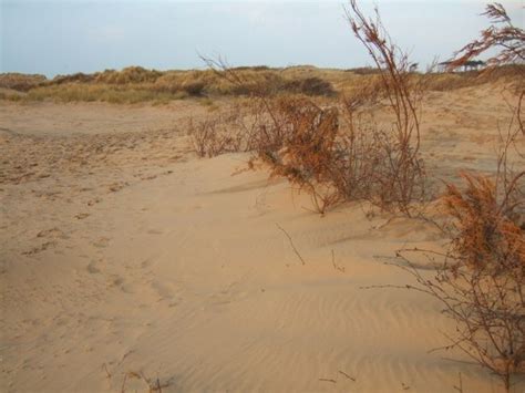 Dunes At Formby Photo Uk Beach Guide