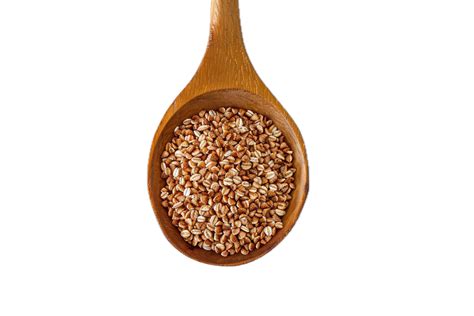 AI Generated Whole Grain Wheat Kernels In Wooden Spoon Png 41163035 PNG