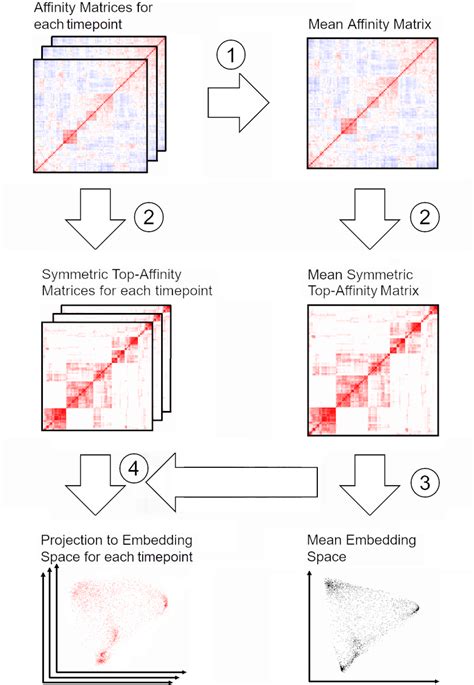 Schematic Description Of The Procedure To Map Affinity Matrices To A