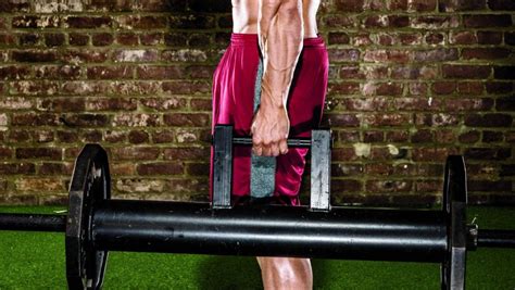 Best Forearm Exercises Forearm Workout Best Leg Workout Chest