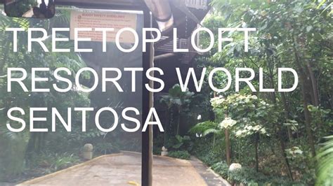 TreeTop Lofts Resorts World Sentosa YouTube