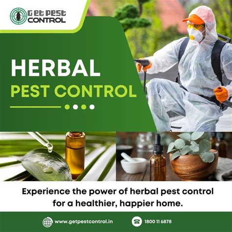 Herbal Pest Control Services In Hyderabad Safe Eco Friendly