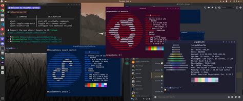 Prototyping The Bluefin Cli Experience Bluefin Universal Blue