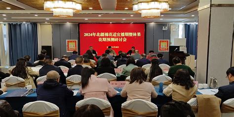 2024年北疆棉花适宜播期暨林果花