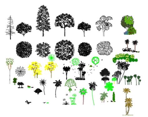 Wild Tree And Plant 2d Elevation Blocks Cad Drawing Details Dwg File