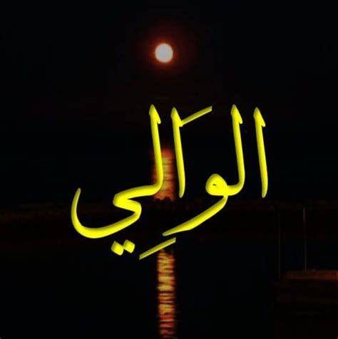 محل الوالي لألبسة و العطور Medjedel