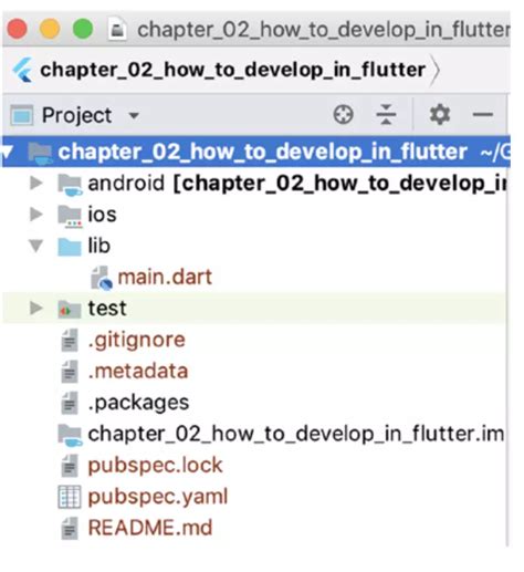 bài 2 developing in flutter