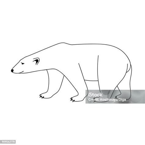 흰색 바탕에 검정 윤곽선 북극곰 고립 곡선 라인입니다 색칠의 페이지입니다 북극곰에 대한 스톡 벡터 아트 및 기타 이미지