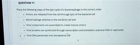 Solved Place The Following Steps Of The Lytic Cycle Of Bacteriophage