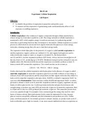 Bio II Lab Cellular Respiration Lab Report Docx Bio II Lab Experiment Cellular