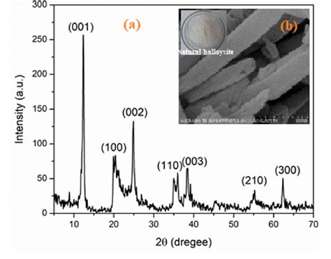 A Xrd Patterns B Sem Image And Powder Sample Inset Of Natural