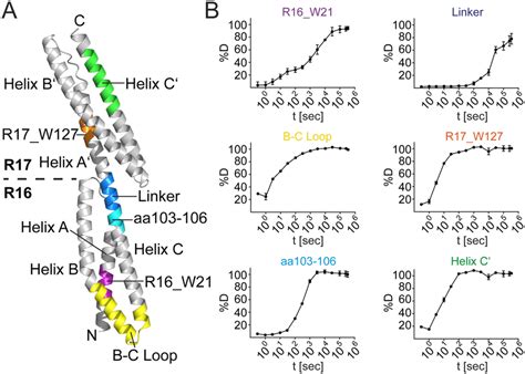 Conformational Dynamics Of R1617 A The Crystal Structure Of Repeats