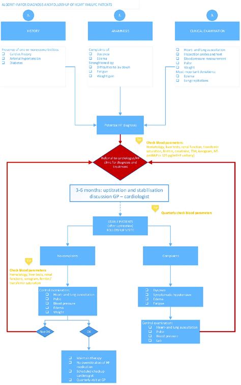 Algorithm For Diagnosis And Follow Up Of Hf Patients Download