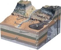 Geo Exam Geologic Time Flashcards Quizlet