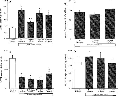 Figure 1 From Role Of The L Argininenitric Oxide Pathway In Ischaemic