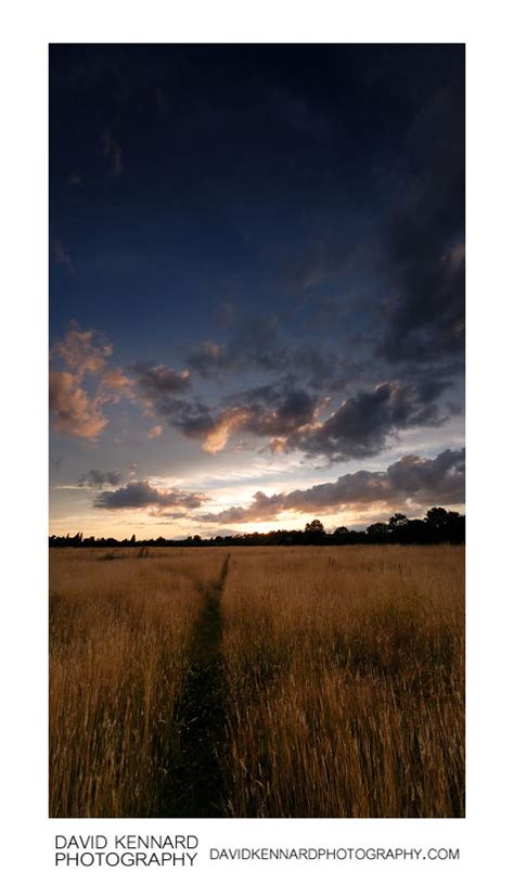 Harborough Hay Field At Sunset Ii · David Kennard Photography