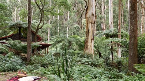 Yarra Valley And Dandenong Ranges Accommodation The Weekend Escape