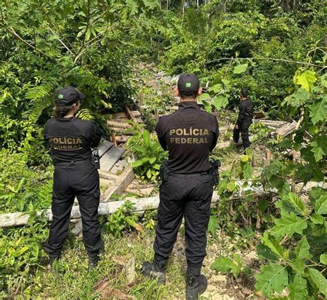 Pf Realiza Ação Contra Crimes Ambientais E De Grilagem Em Ro Adpf Adpf
