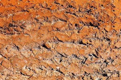 Premium Photo The Bark Of The Tree Is Red Background For Design