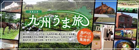 西スポレースサイト