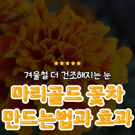 마리골드 꽃차 만드는 법과 효능에 대해서 알아보자 네이버 블로그