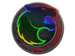 Furia Cs Go Cs Wiki Cs Money