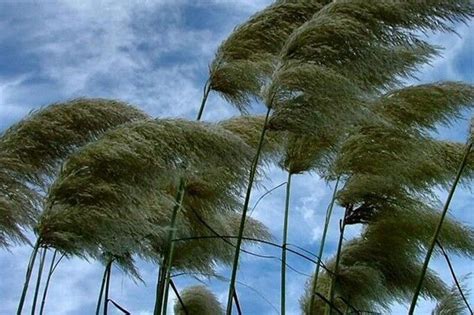 ببینید سقوط نمای یک ساختمان روی سر عابر پیاده بدشانس خبرآنلاین
