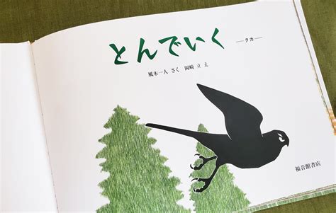 人間の視覚の不思議とんでいくふくふく本棚福音館書店公式Webマガジン