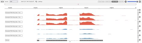Rna Seq Differential Expression Analysis Basepair Support